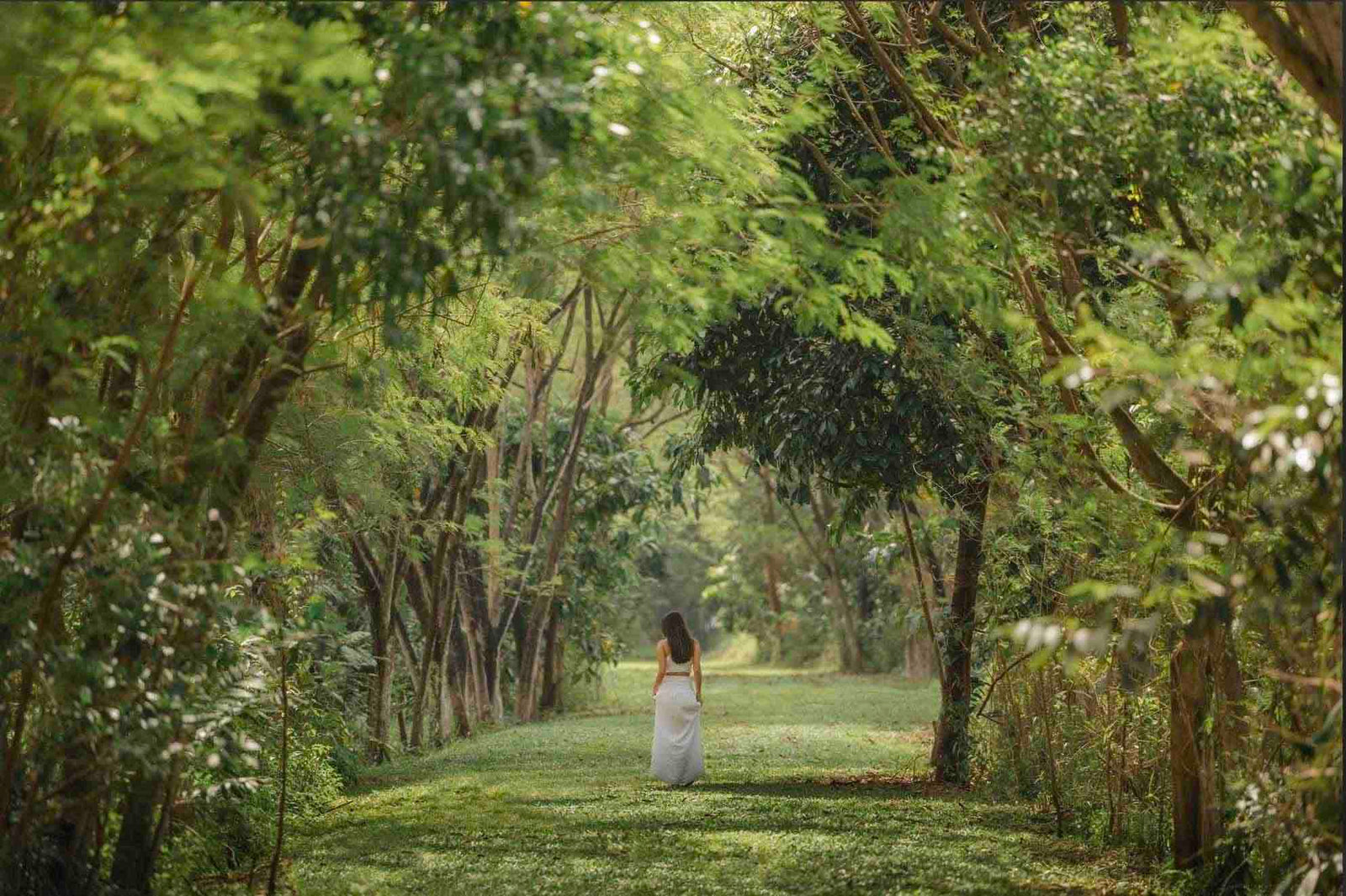 Careers | Fieldnotes Birthday Cake Shop