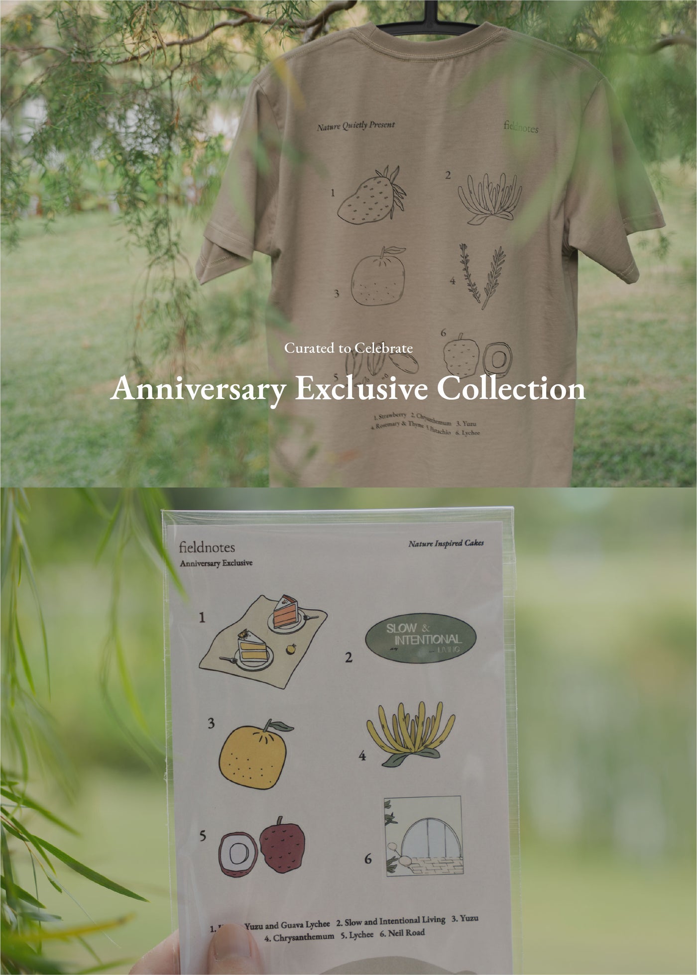 Fieldnotes l Nature-Inspired Cakes